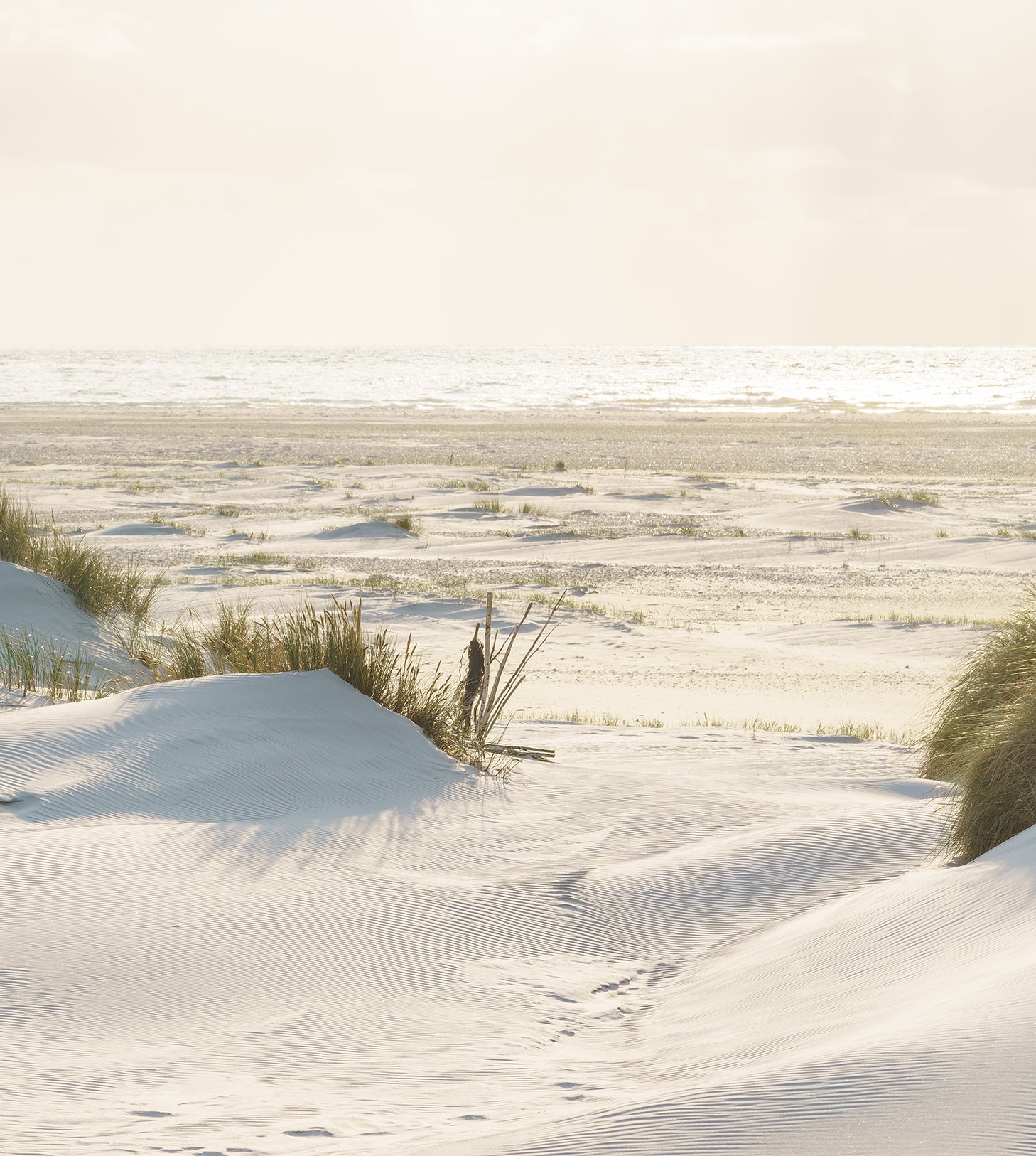 A Warm Welcome to Dune – Year & Day